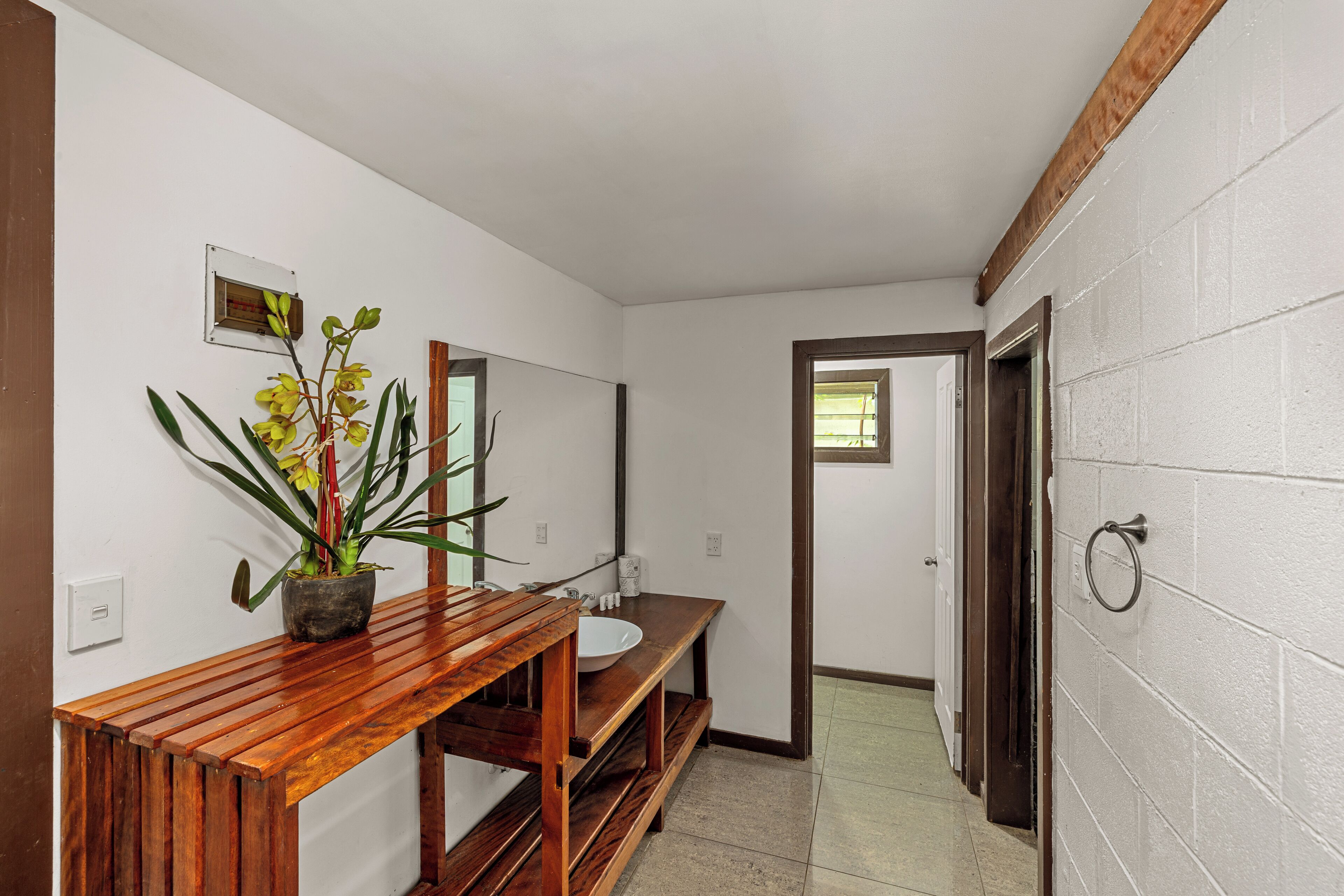 Casa de banho com toucador de madeira, lavatório, espelho e uma planta em vaso.