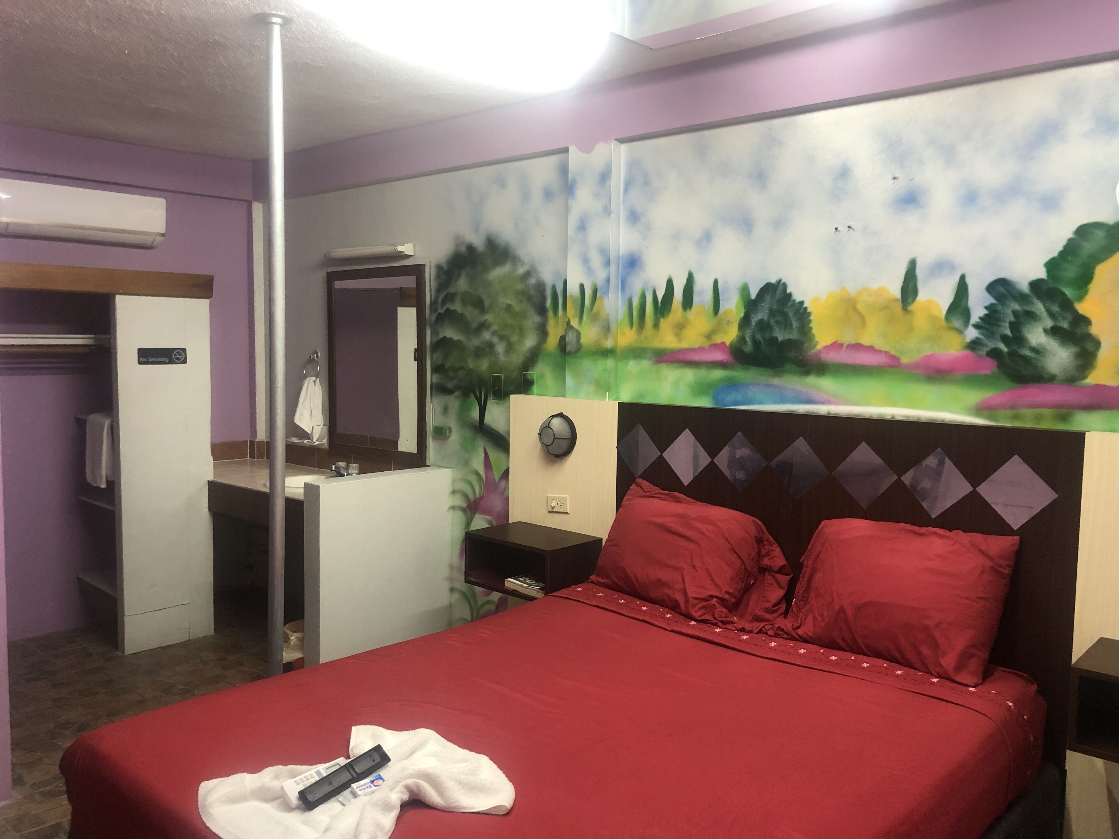 Quarto Individual Deluxe, 1 cama queen-size | Vista do quarto