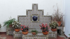 Um pátio revestido com azulejos, uma parede decorativa, plantas em vasos e um padrão de azulejos no chão.