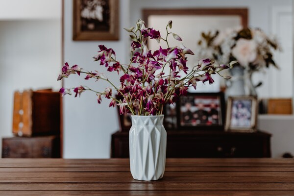 Square Inn - Wimberley, TX