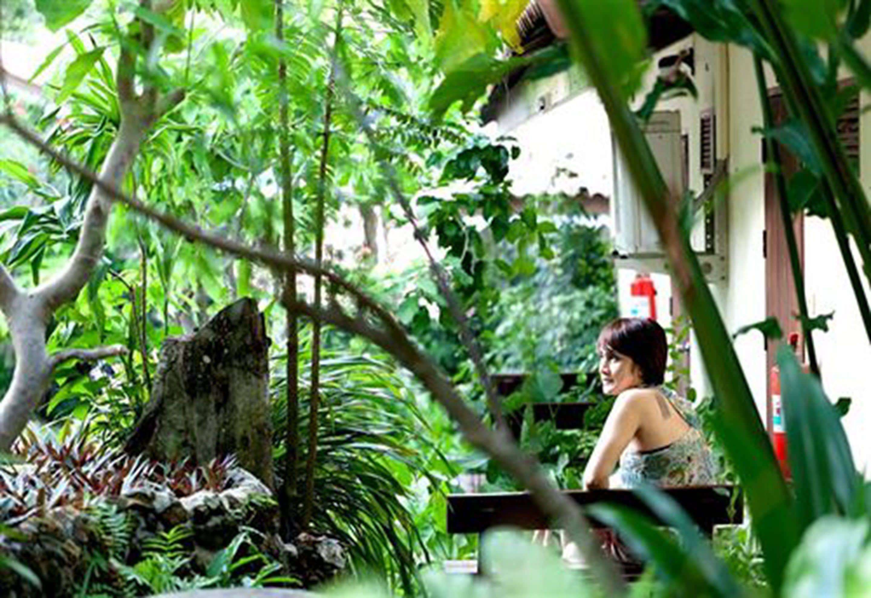 Uma mulher sentada num banco em área externa exuberante e verde, com folhagem densa e um tronco de árvore.