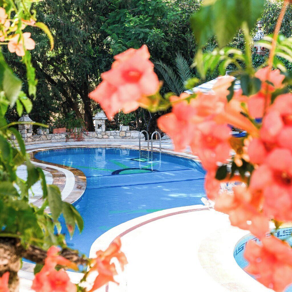 Piscina exterior, espreguiçadeiras 
