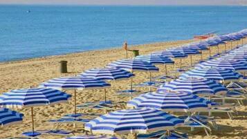 Perto da praia, espreguiçadeiras, guarda-sóis de praia, windsurf