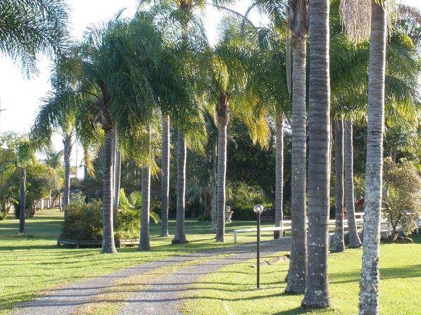 Área da propriedade