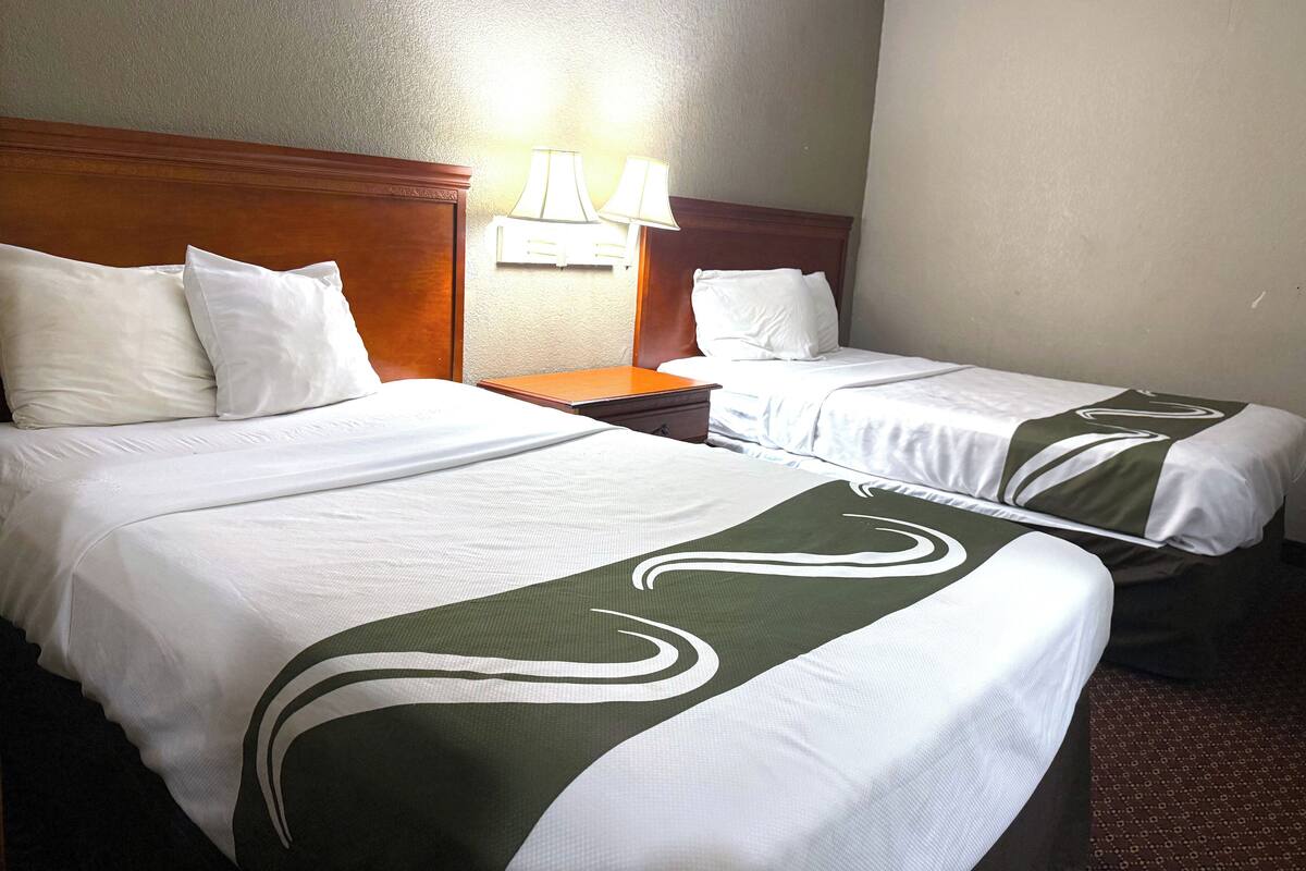 Quarto de hotel com duas camas, cada uma com roupa de cama branca e um padrão verde e branco no cobre-leito. Há uma cabeceira de madeira, uma mesa de cabeceira com uma luminária e um aparelho de luz fixado na parede.