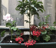 Pormenores do exterior