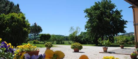 Um jardim com plantas em vasos e árvores.