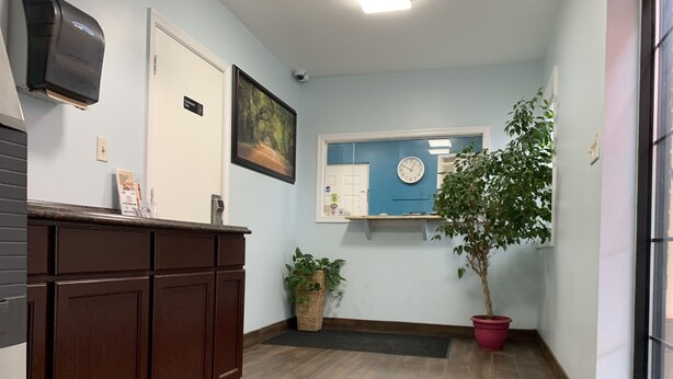 Uma área de recepção com balcão de madeira, relógio, planta e uma porta.