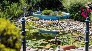 Um jardim com lago, pedras e um barco azul identificado como 'FM 960'.
