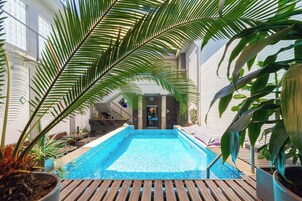 Piscina com deck de madeira, rodeada por plantas em vasos e um edifício moderno com janelas amplas.