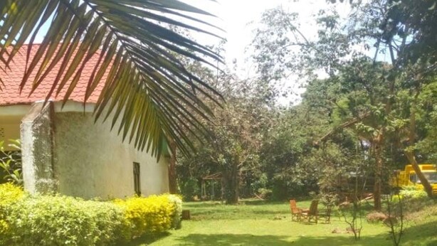 Um jardim exuberante com um edifício branco, palmeiras e uma estrutura com telhado vermelho.
