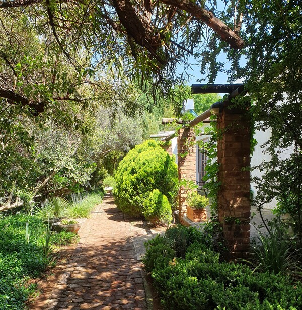 Springfontein Guesthouse - Springfontein