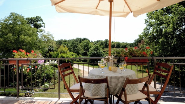 Mesa posta ao ar livre sob um toldo, rodeada por cadeiras, com vista para um jardim com árvores e flores.