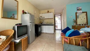 Um espaço compacto com cozinha compacta, televisão, móveis de vime e espelho.