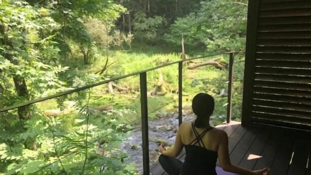 Pessoa sentada em um deck apreciando a vista de uma área arborizada.