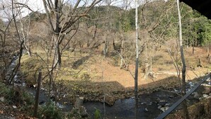 Um deck de madeira com vista para um riacho pedregoso, vegetação rala e árvores ao fundo.