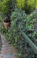 Detalhe da fachada
