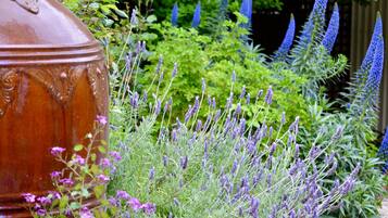 Um jardim com plantas de lavanda e um grande vaso de cerâmica marrom.