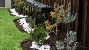 Jardim com cerca de madeira, pedriscos brancos e diversas plantas.