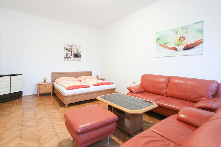 Hermoso Apartamento De Construcción Antigua Para Huéspedes Emprendedores - Viena