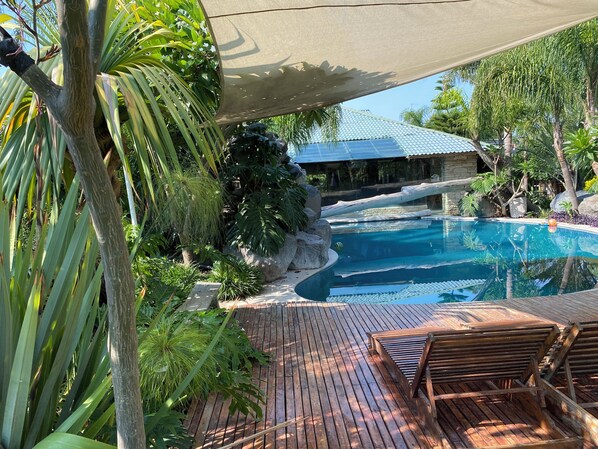 Edredons de pluma, camas Select Comfort, cofres nos quartos