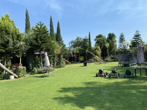 Smart TV 36 polegadas com canais via satélite, TV