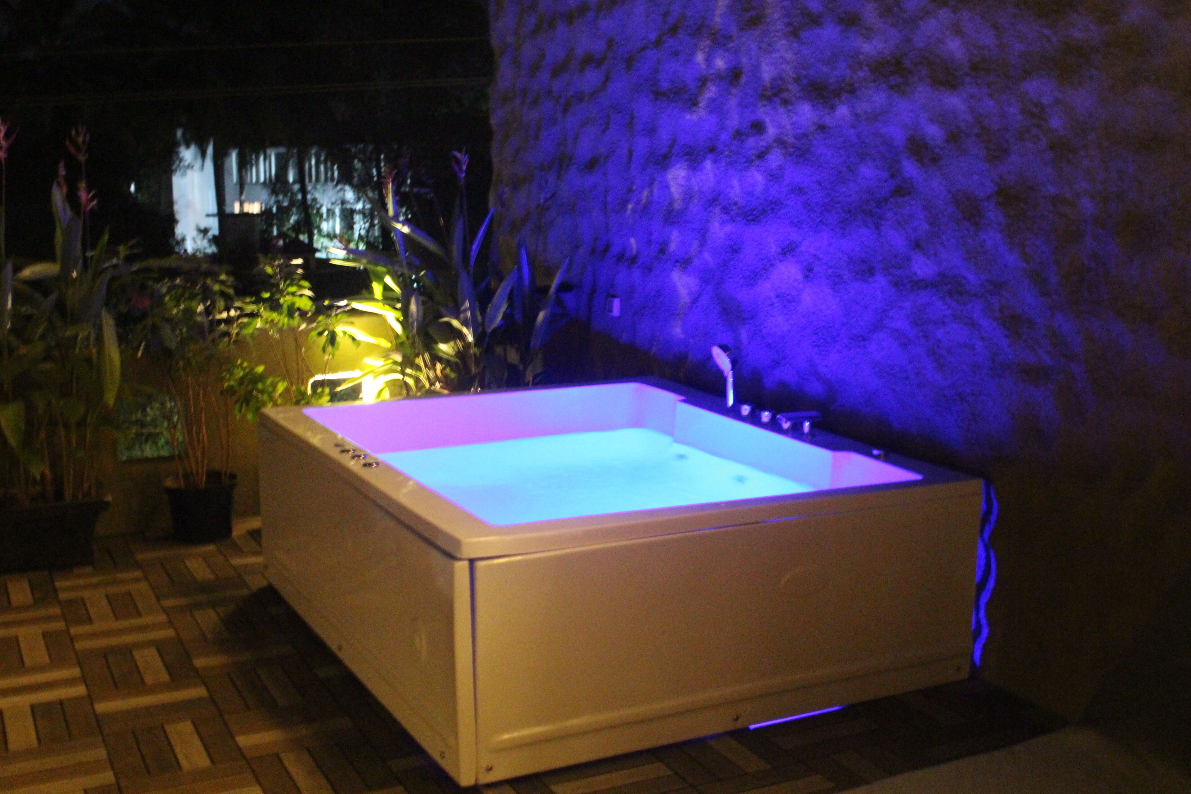 Uma banheira de hidromassagem retangular com interior azul claro, rodeada por plantas em vasos e uma parede de pedra.