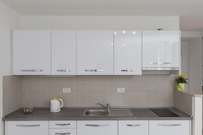 Apartamento (Standard One Bedroom Apartment) | Cozinha privada | Um frigorífico, uma placa de cozinha, uma chaleira elétrica 