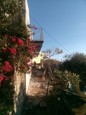Casa, 1 quarto, fumadores, varanda | Terraço/pátio interior