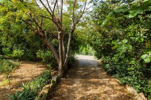 Apartamento, 1 quarto, varanda | Exterior