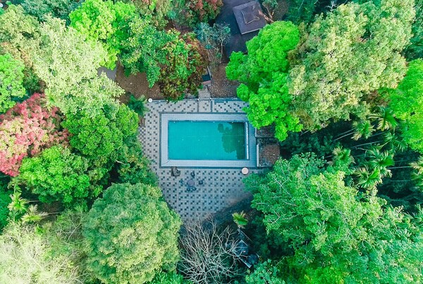 Vythiri Wild Forest Resort - Karnataka