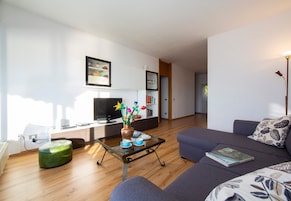 Apartamento família, 2 quartos, 2 banheiros (Aldesago Panoramica with shared Pool) | Área de estar