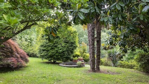 Um jardim exuberante com um lago circular, diversas plantas e uma grande árvore.