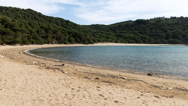 Uma praia com areal arenoso e uma colina arborizada ao fundo.