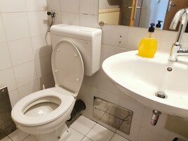 Studio Apartment | Casa de banho | Um polibã, toalhas fornecidas, sabão, papel higiénico 