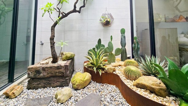 Um pequeno jardim interno com uma árvore bonsai, vários cactos e um vaso de madeira em formato de tronco.