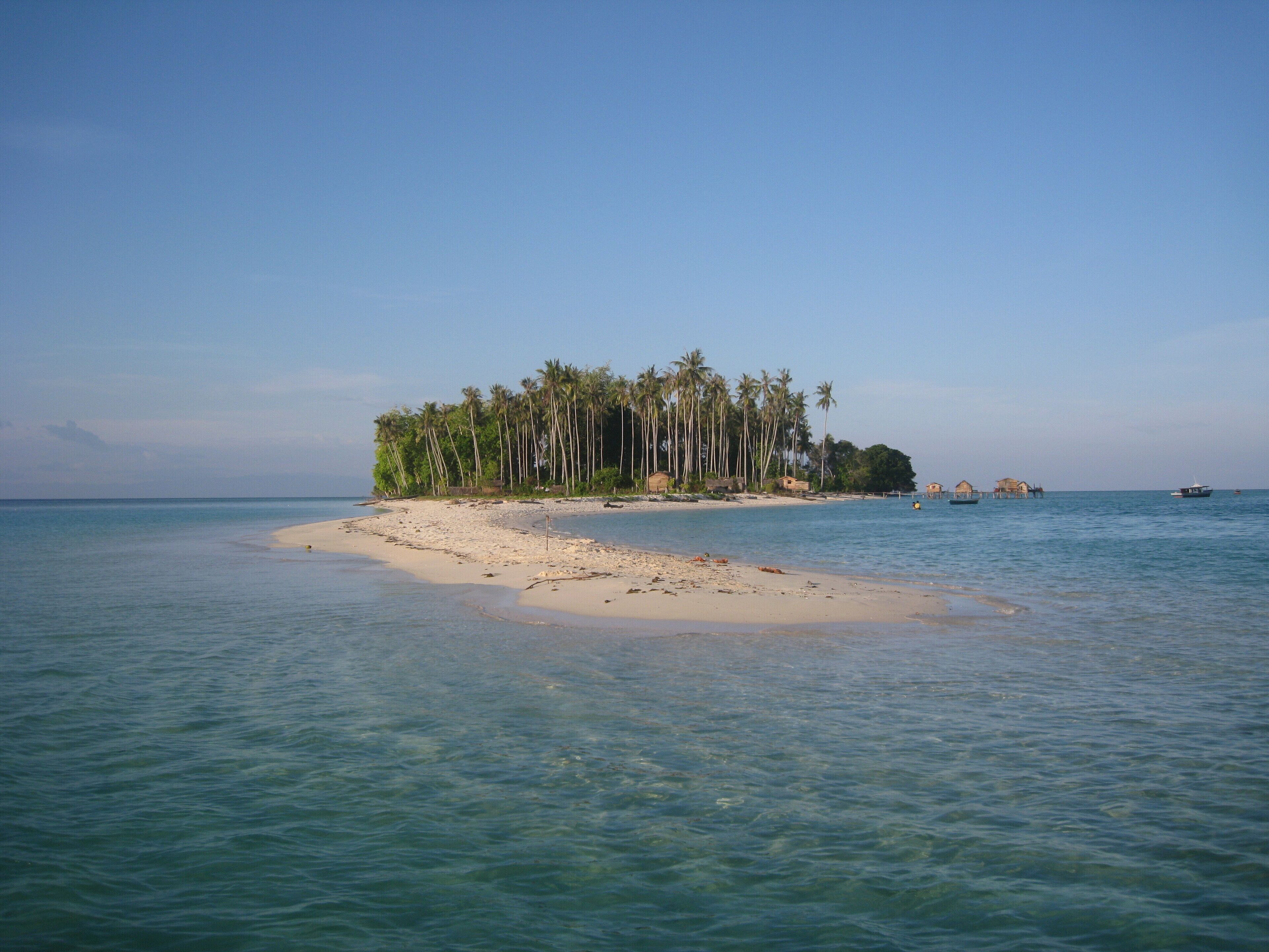 Uma praia com uma pequena ilha de palmeiras e alguns edifícios.