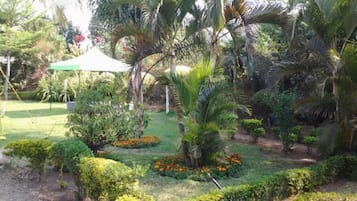 Jardim
