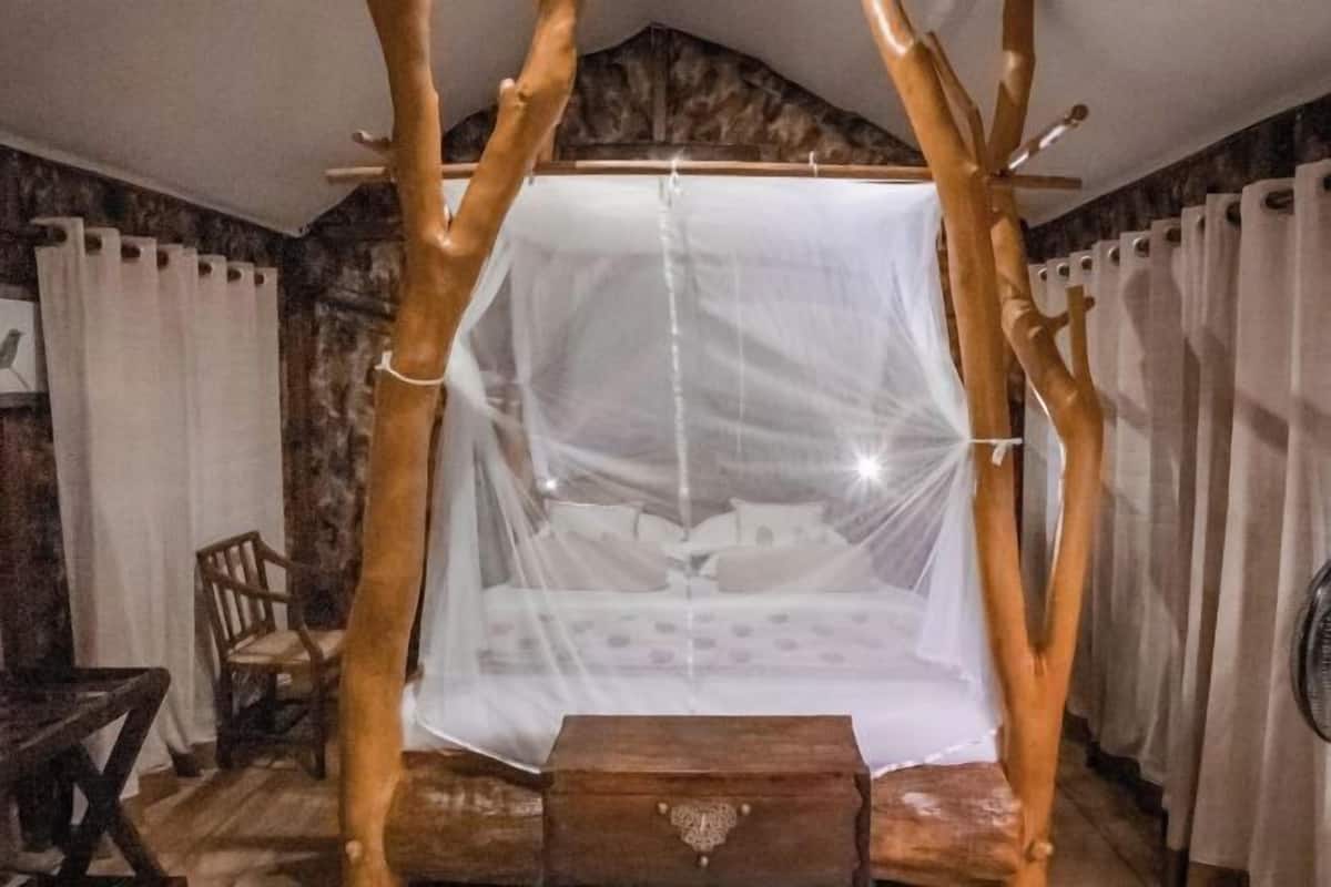 Roupas de cama de algodão egípcio, roupas de cama premium