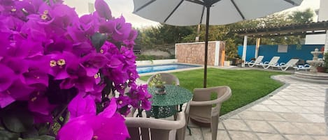 Jardim