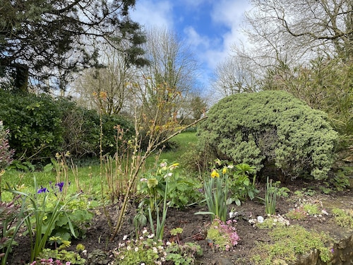 Rural Retreat, Dog Friendly, Blackdown Hills Anob - United Kingdom