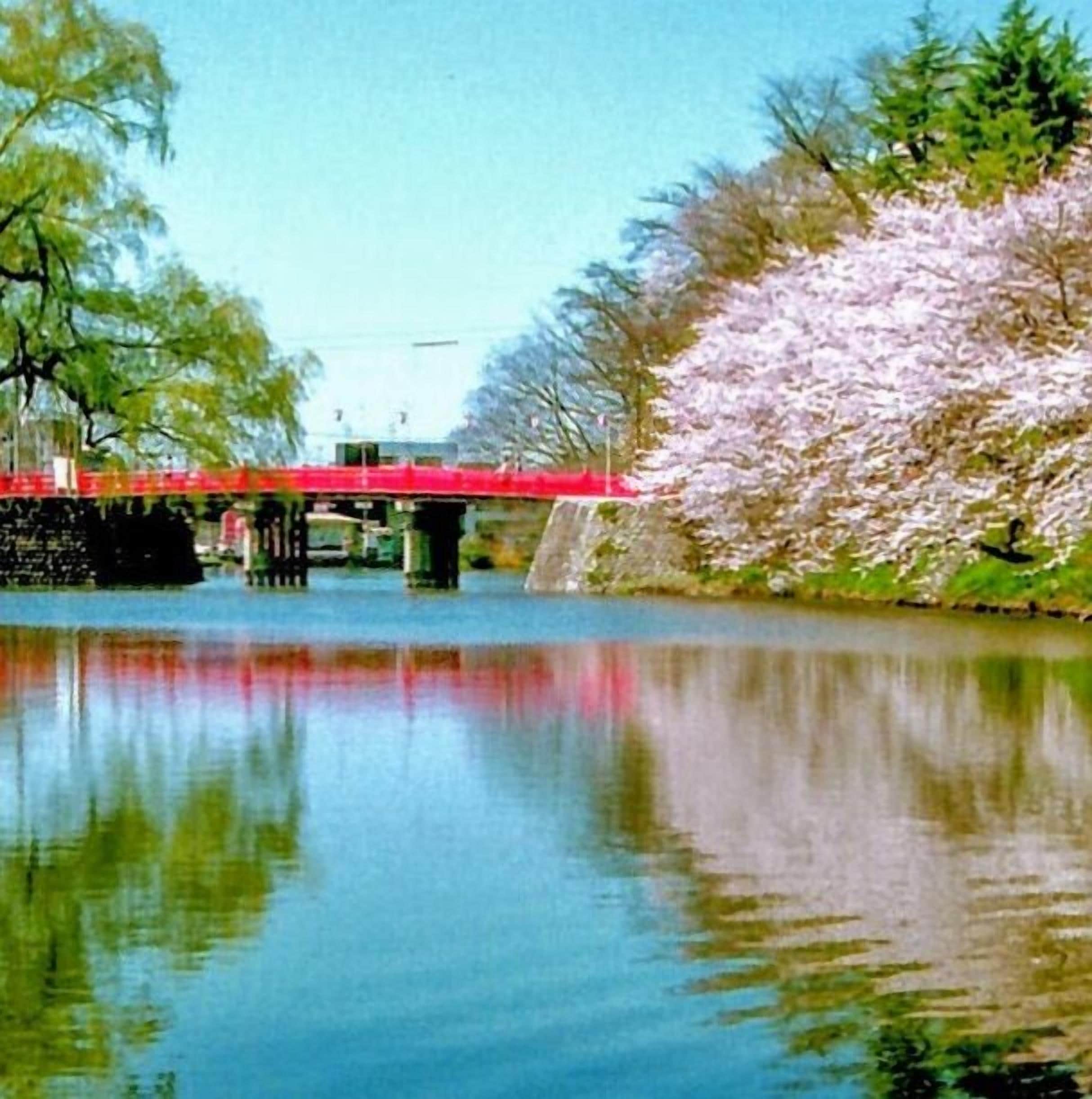 Uma ponte sobre um rio calmo, com árvores e cerejeiras nas margens.