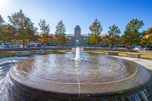 Terraço/pátio interior