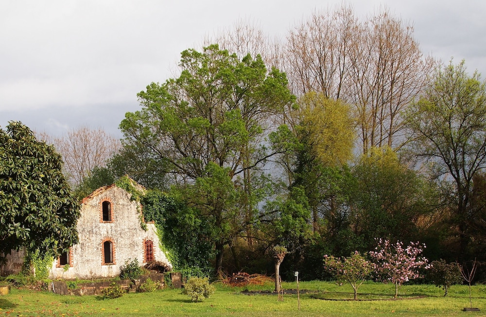 House By The River, Quiet Area, Close To Mountains, Beaches And Towns And Walks - Soure