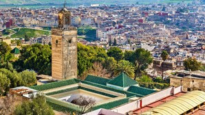 Paisagem urbana com uma torre imponente, edifícios urbanos densos e uma estrutura com telhado verde.
