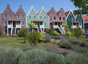 Uma fileira de casas holandesas coloridas e tradicionais, com grades brancas e telhados de telha vermelha, cercada por um campo de lavanda.