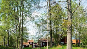 Uma paisagem rural com uma casa rodeada por árvores e relva.