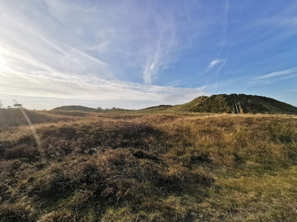 6 Person Holiday Home In Romo - Rømø