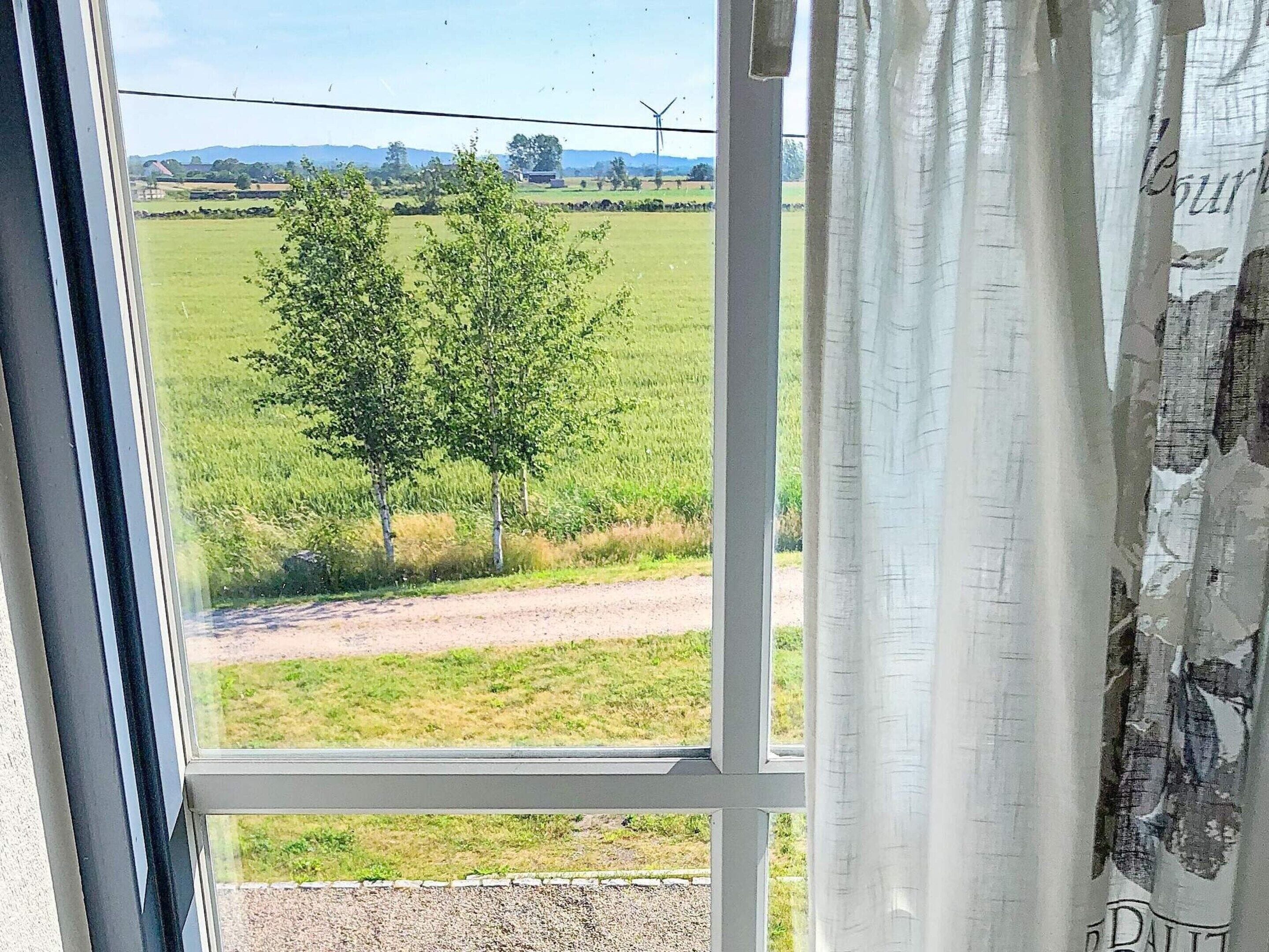 Janela com vista para paisagem rural, incluindo uma árvore e um caminho de terra.