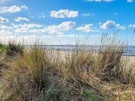Uma praia com gramíneas altas e céu claro.